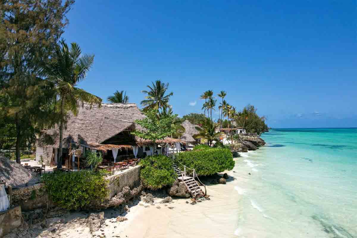 Cose da vedere in Tanzania