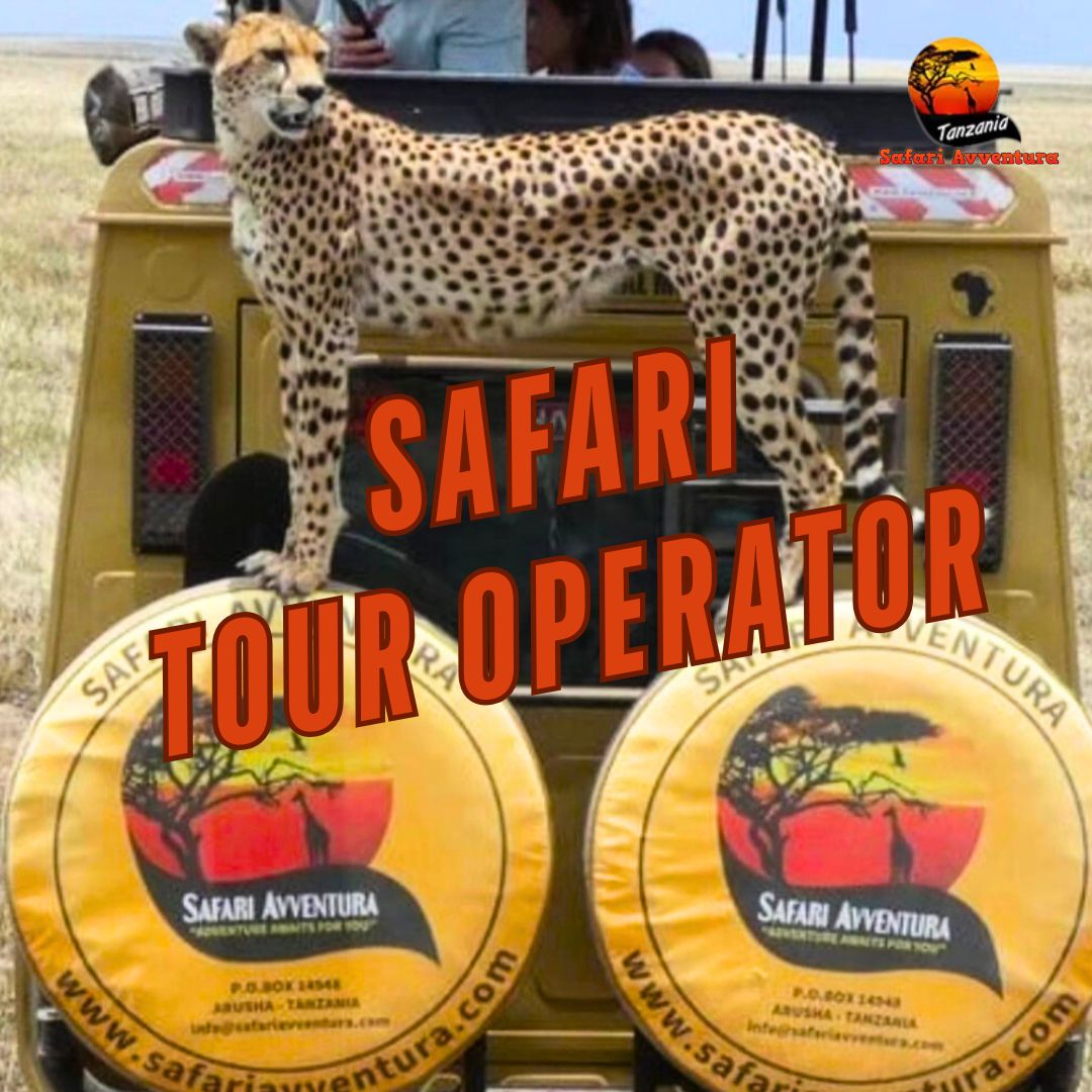Cómo elegir el mejor operador turístico de safari | Safari Avventura